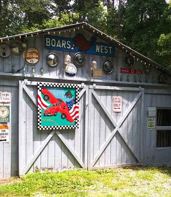 north carolina museum quirky ftr
