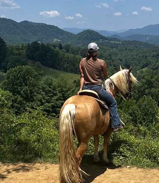 north carolina ride mine ftr