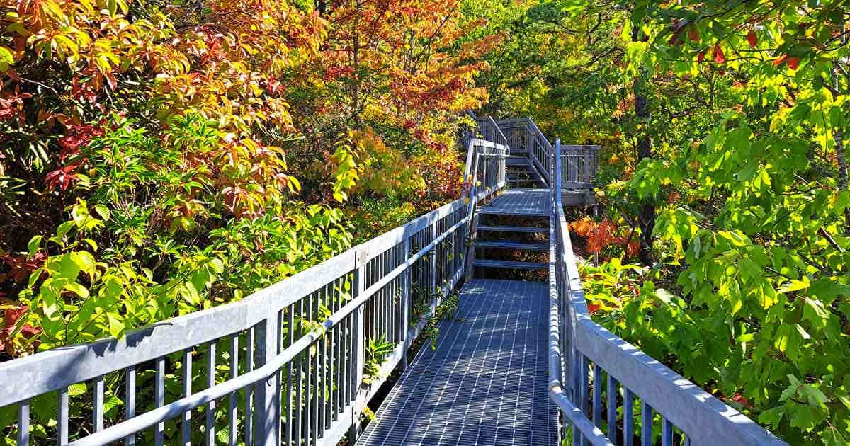 Take 183 Steps To The Top Of This Virginia Tower And See A View Most ...