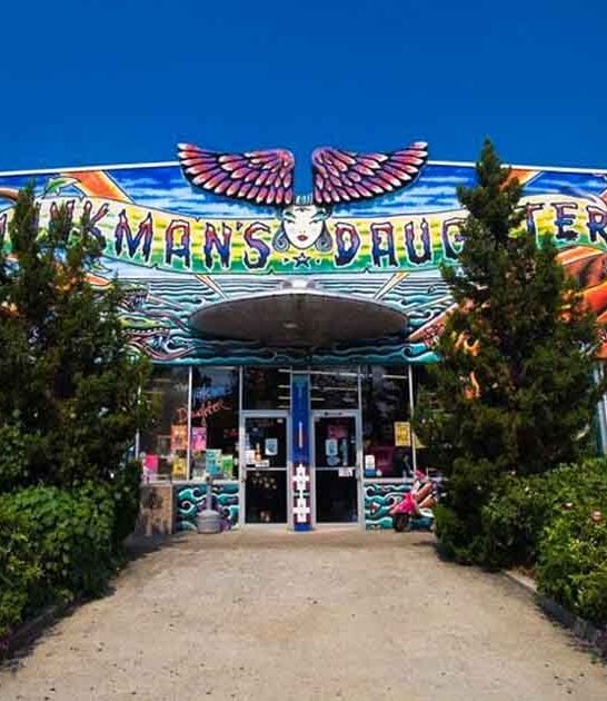 offbeat georgia store ftr