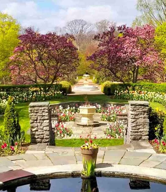This Spectacular Ohio Garden Belongs On Every Summer Bucket List