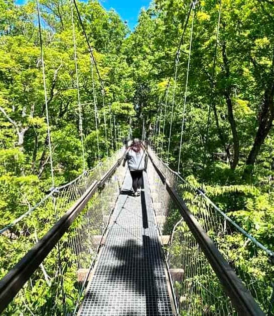 ohio forest canopy thrill ftr