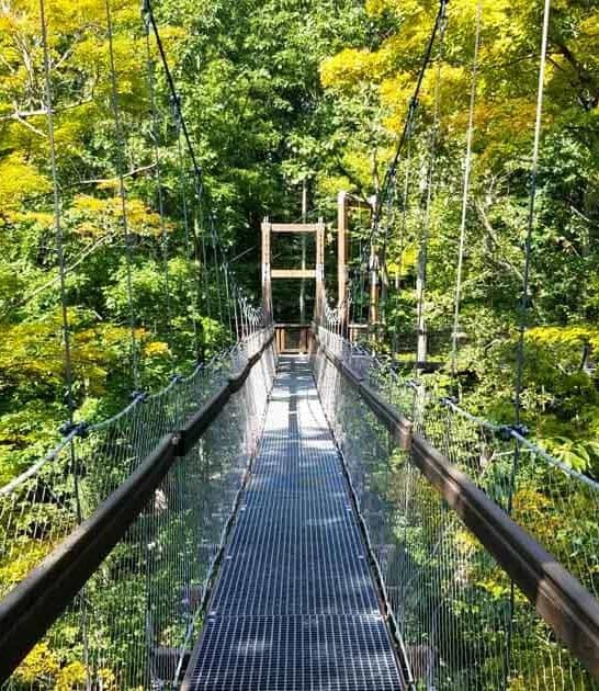 ohio forest canopy walk ftr