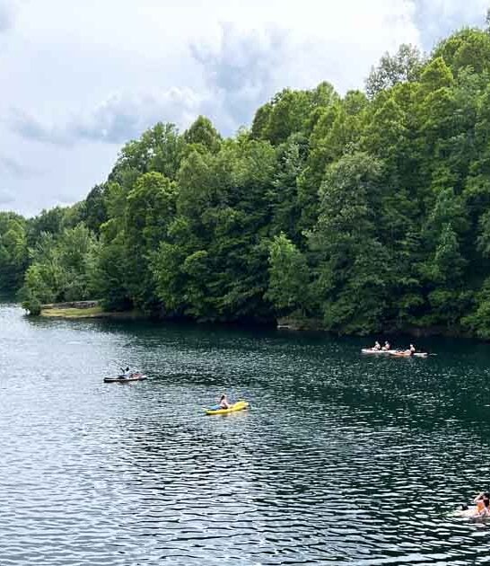 ohio lake clear ftr