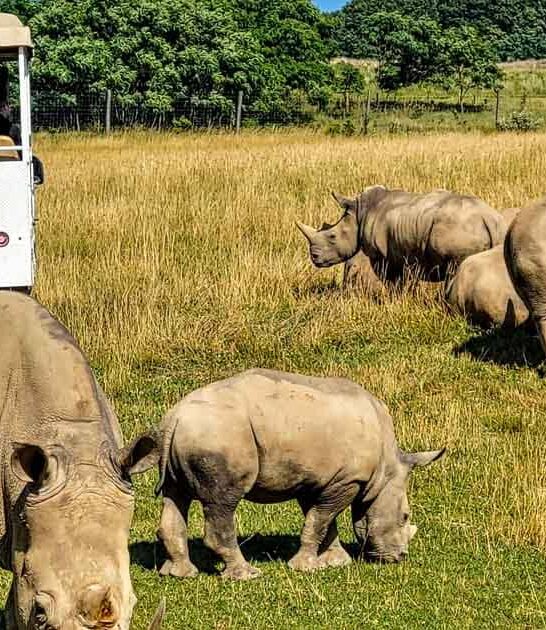 ohio safari adventure ftr