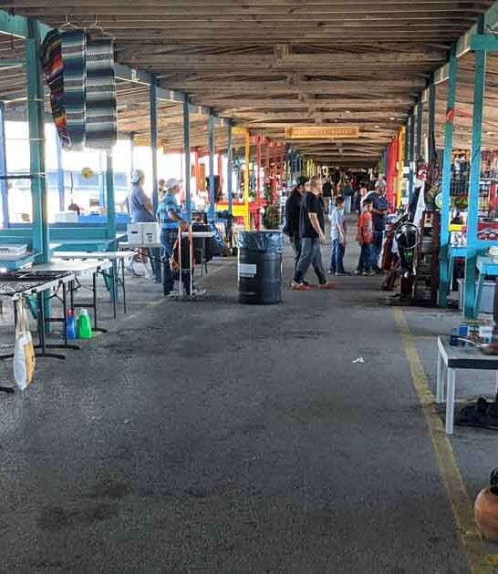 one trip texas flea ftr