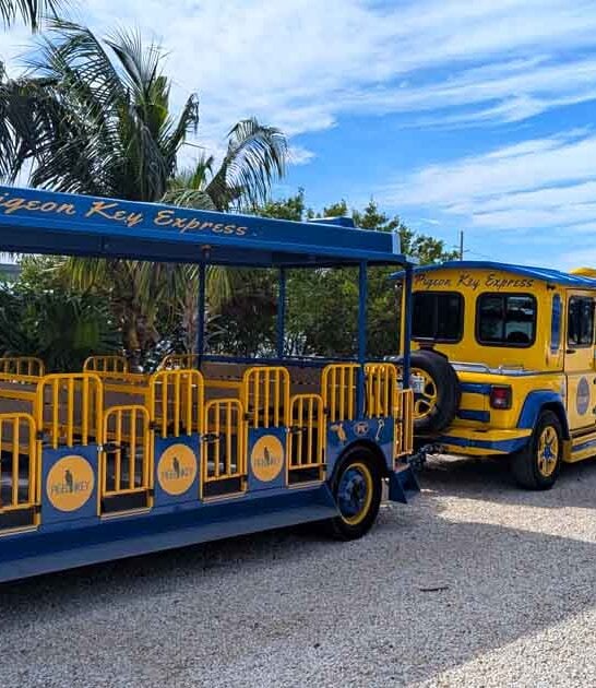 open train ride florida ftr