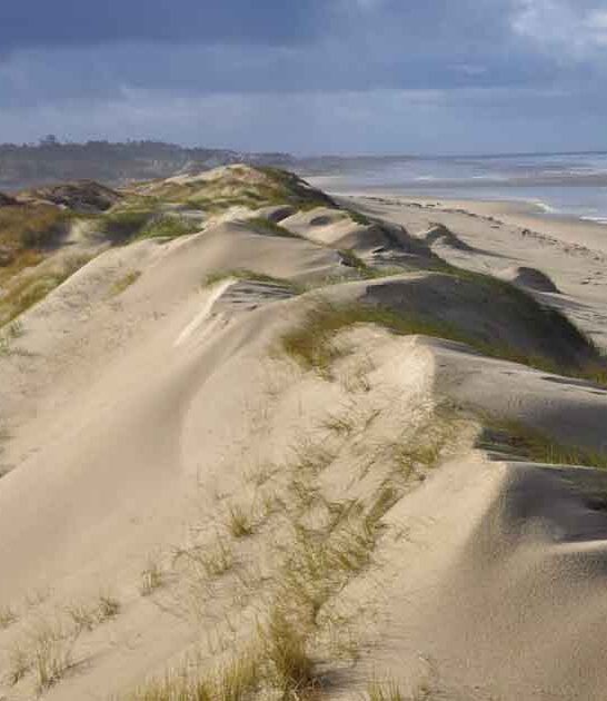 oregon atv sand dunes ftr