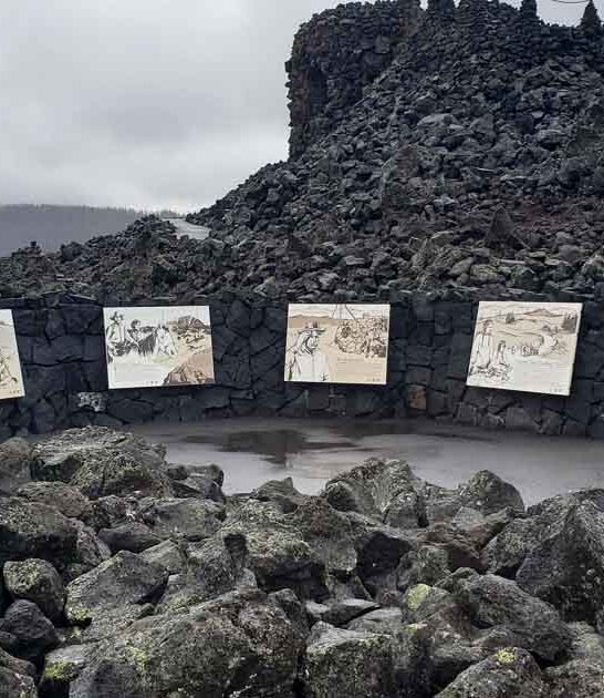 oregon moon landing field ftr