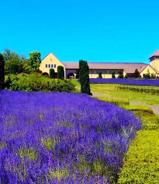 oregon most beautiful winery ftr
