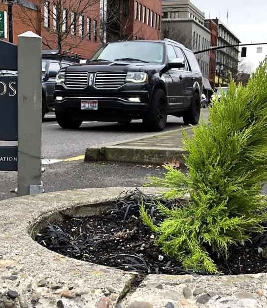 oregon unbelievable smallest park ftr