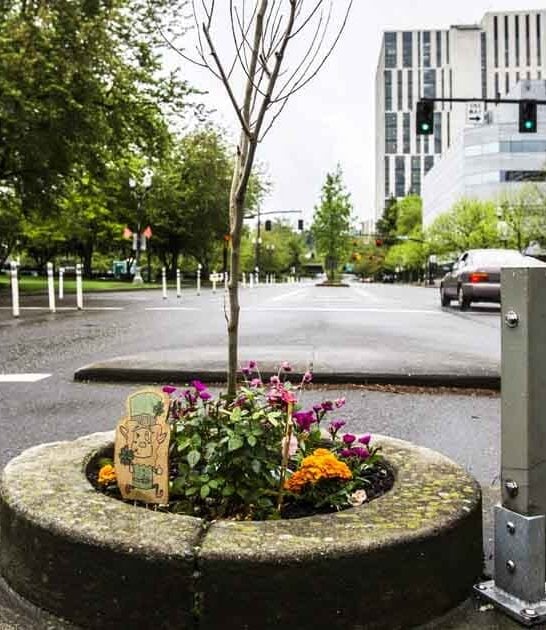 oregon world smallest park ftr