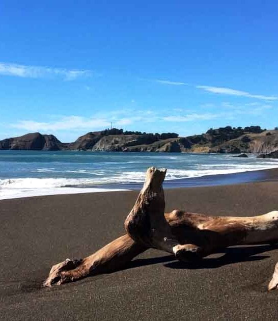 otherworldly beauty california beach ftr