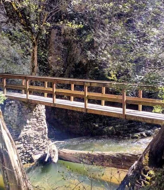 out world hikes virginia ftr