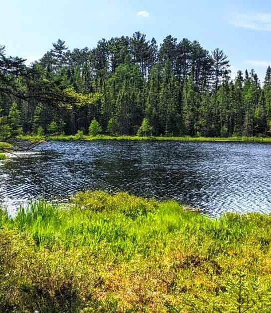 overlooked minnesota park trails ftr