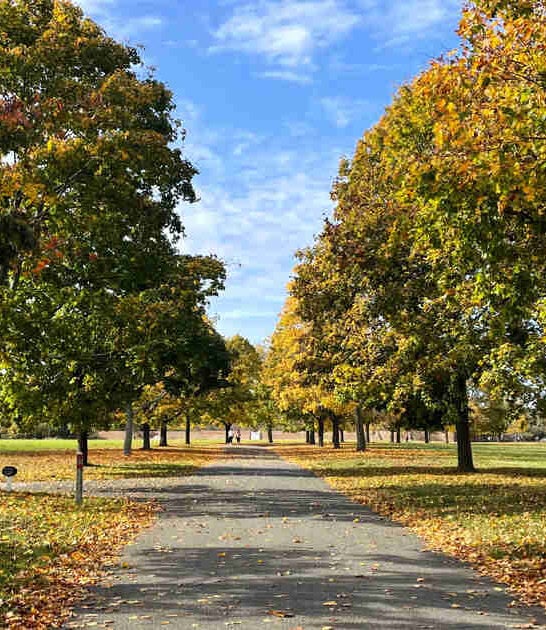 overlooked new york secret ftr