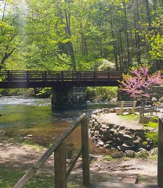 overlooked park new jersey ftr