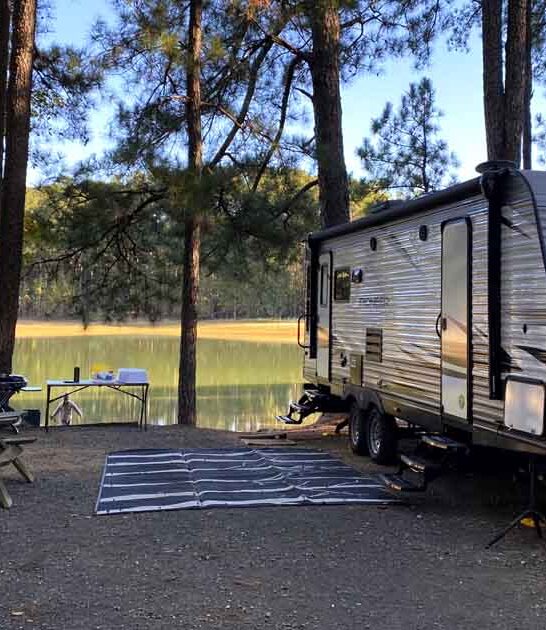 overlooked south carolina park ftr