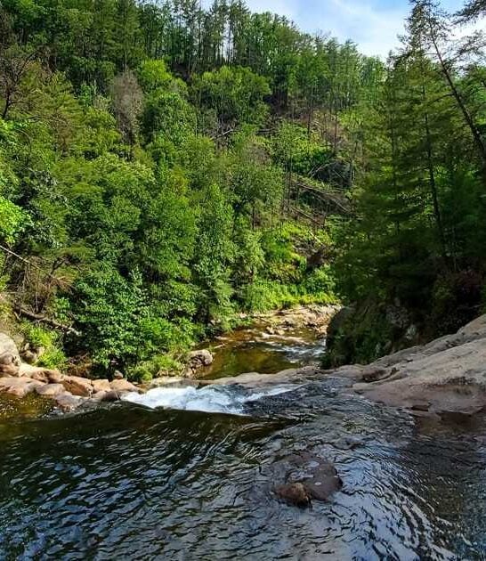 overlooked waterfall trail georgia ftr