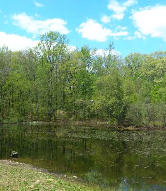 park connecticut disc golf ftr