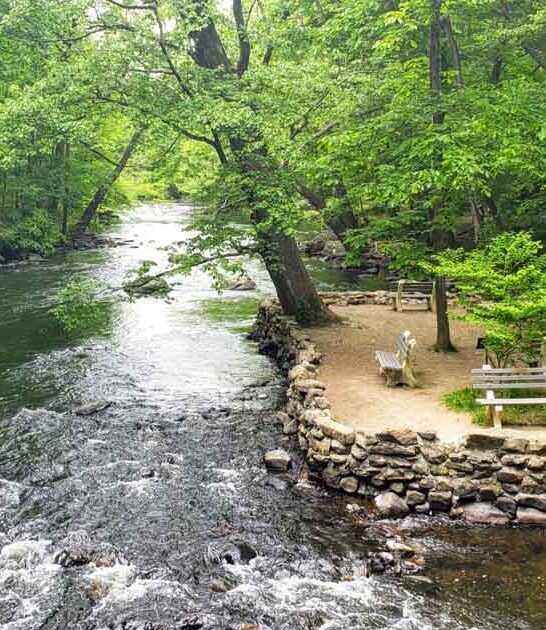 park new jersey nature ftr