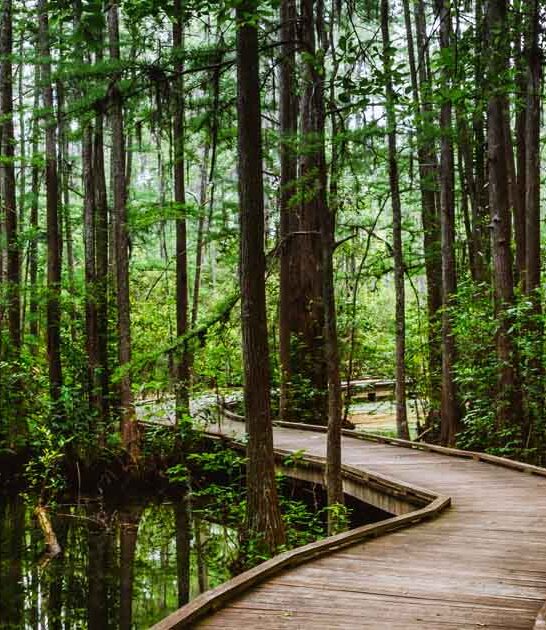 park south carolina dreamy ftr