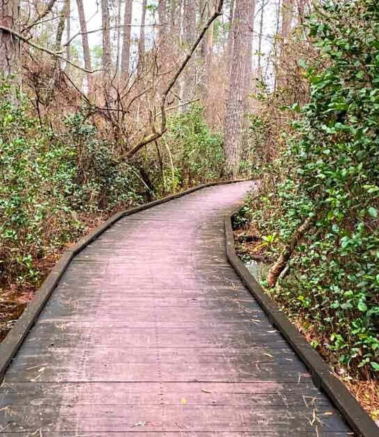 park south carolina nature ftr