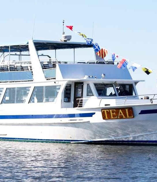 Rent Your Own 2-Story Party Boat In New Jersey For An Incredible Day On The Water