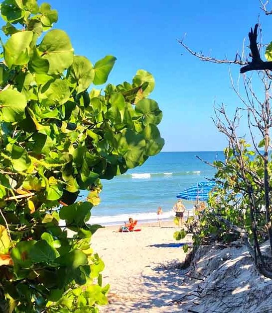 peaceful beachfront park florida ftr