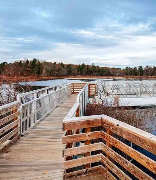 peaceful boardwalks massachusetts sanctuary ftr