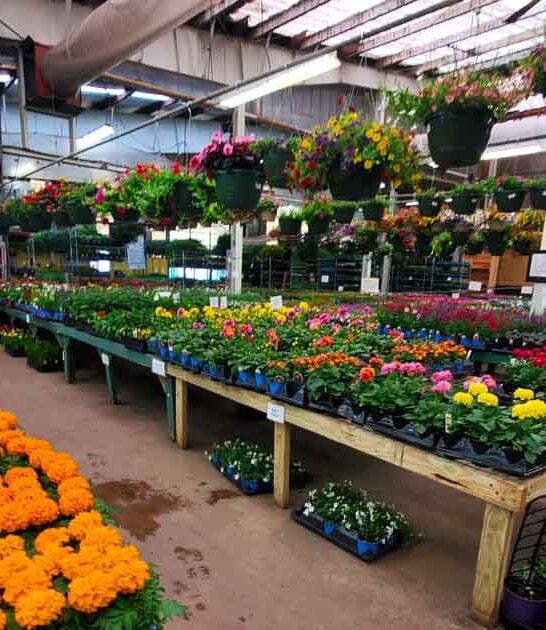 pennsylvania biggest farm market ftr