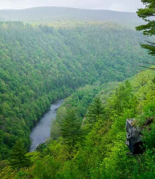 pennsylvania epic canyon view ftr