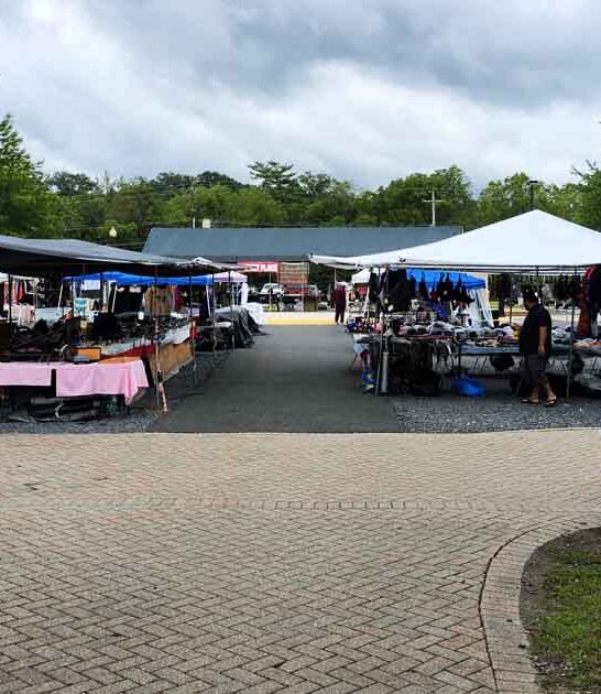 pennsylvania flea market adventure ftr