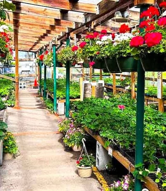 pennsylvania sprawling market trip ftr