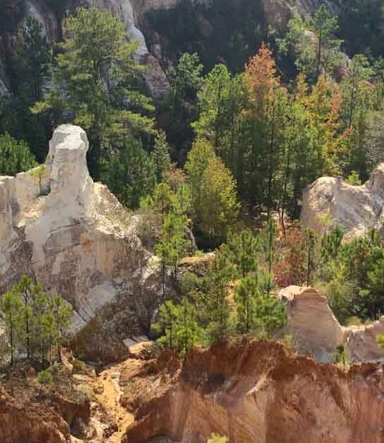 people natural wonders georgia ftr