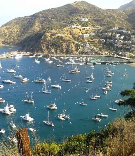perfect california towns postcard ftr