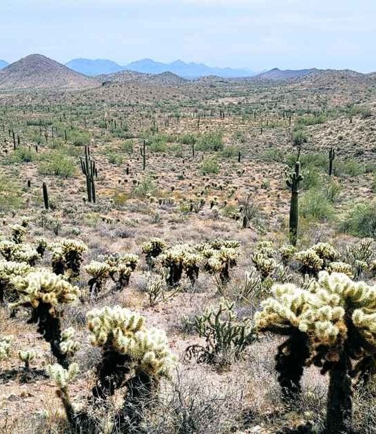 You&rsquo;ll Fall In Love With This Picture-Perfect Arizona Park