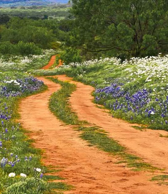 picturesque byways drive texas ftr