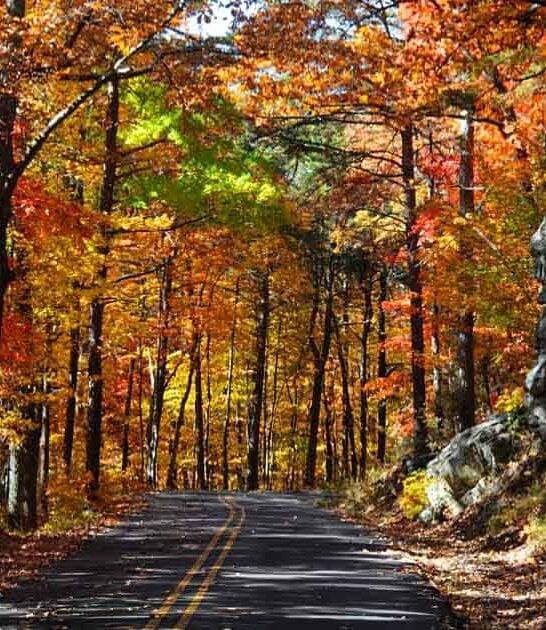 picturesque scenic byways alabama ftr