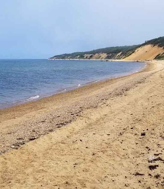 pristine beach new york ftr