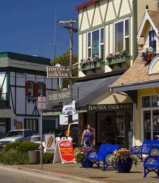 quaint norwegian town washington ftr