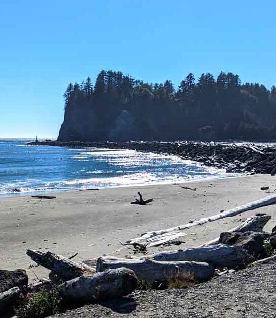 quiet beach retreat oregon ftr