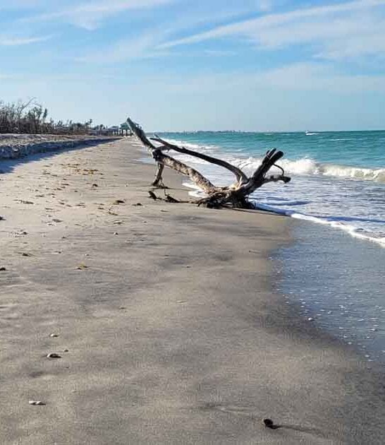 quiet florida beach perfection ftr