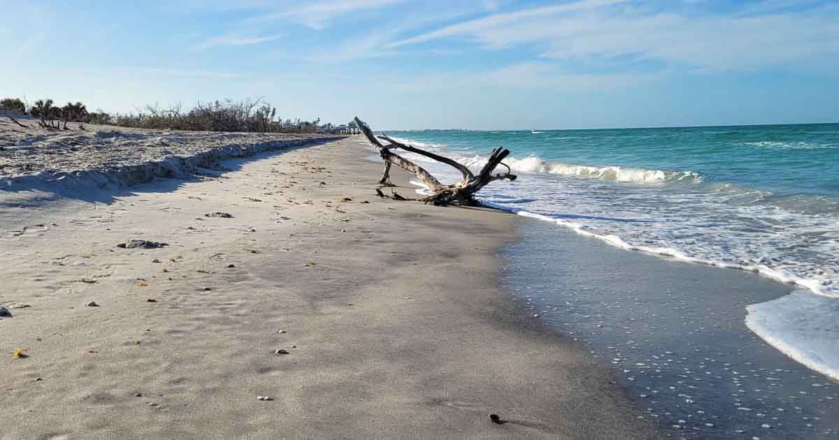 This Quiet Florida Beach With Miles Of Untouched White Sand Is Pure Coastal Perfection