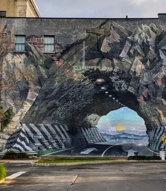 quirky art south carolina ftr