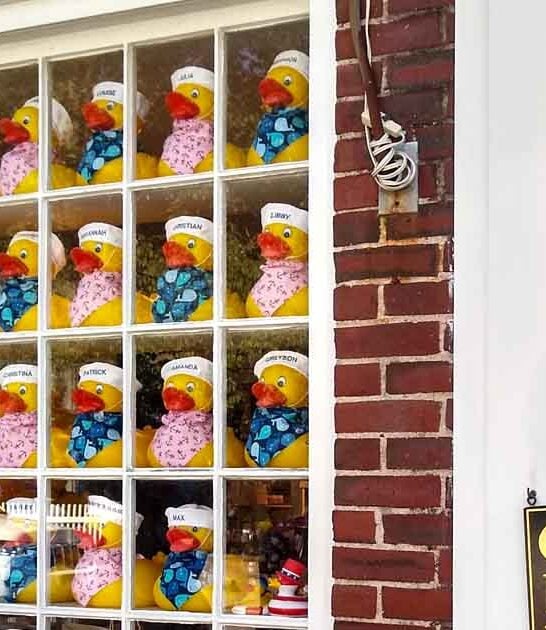Few People Know About The World&rsquo;s Largest Rubber Duck Store, And It&rsquo;s Right Here In Massachusetts