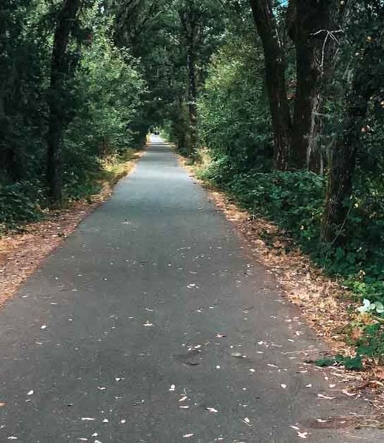 redwood groves trail california ftr