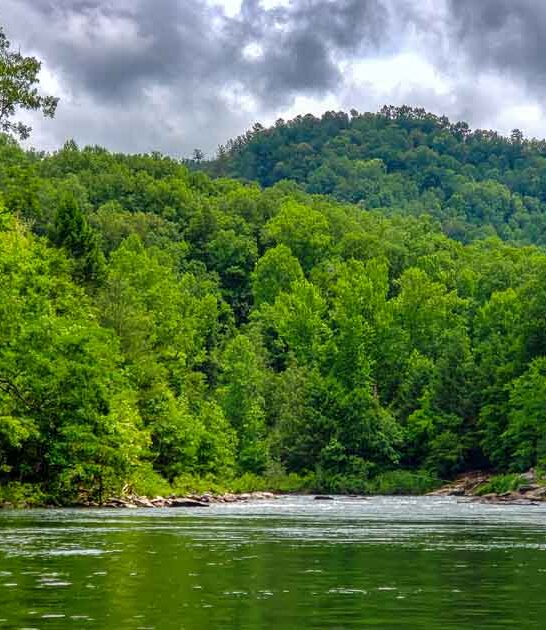 remote lake south carolina ftr