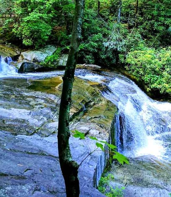 remote north carolina park ftr