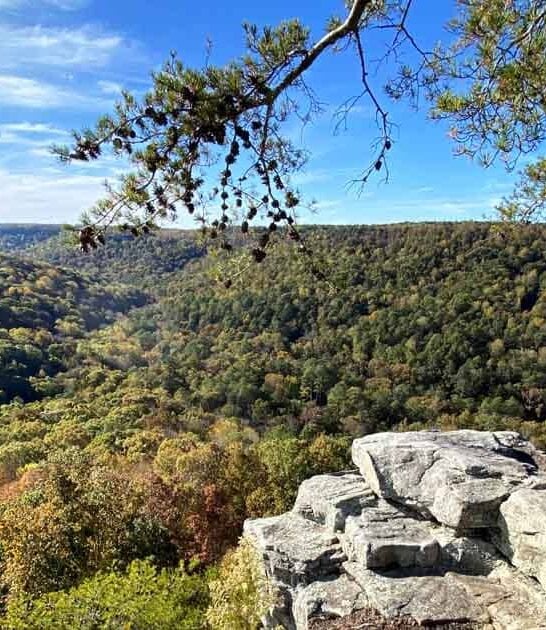 Escape To The Most Remote State Park In Alabama For An Unforgettable Adventure